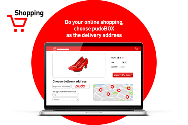 How Does the System Work? – pudo