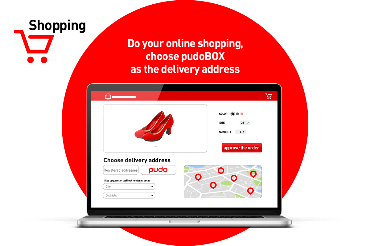 How Does the System Work? – pudo